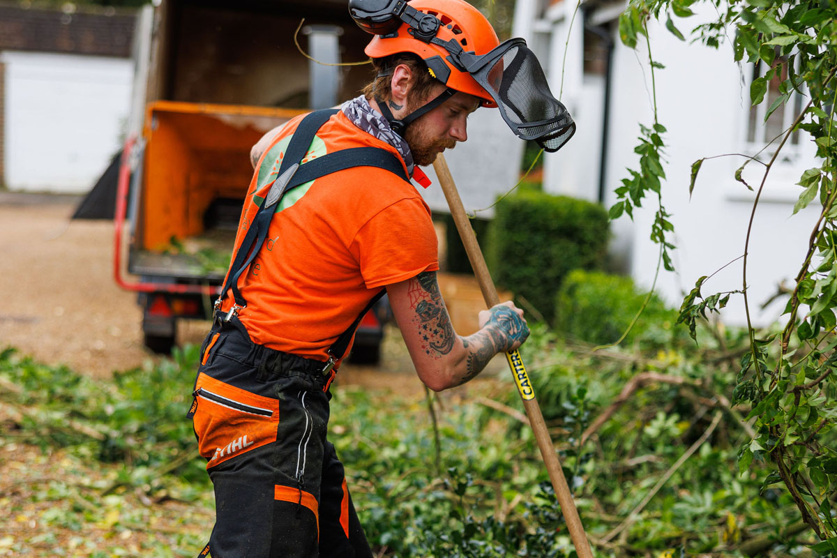 Tree Services - Dave Ford Tree Care